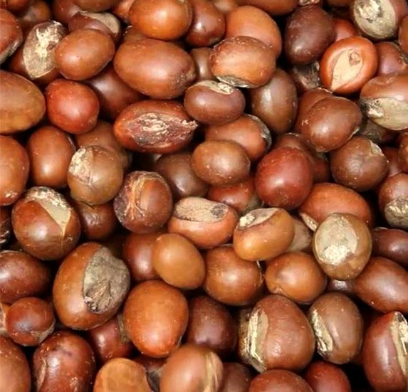 CosAgroFoods | Shea Nuts